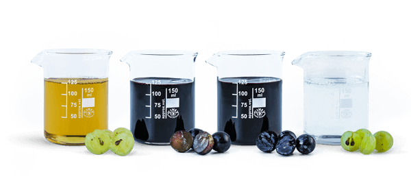 Producer of grape must and concentrated grape juice: Julian Soler