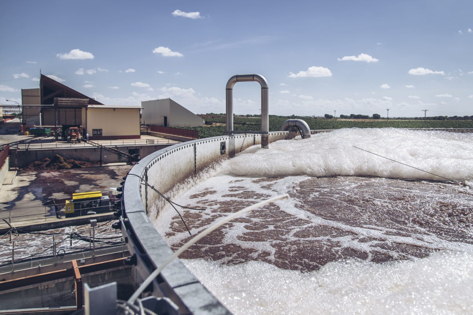 Innovation in the production of grape juice concentrate: sustainability ...